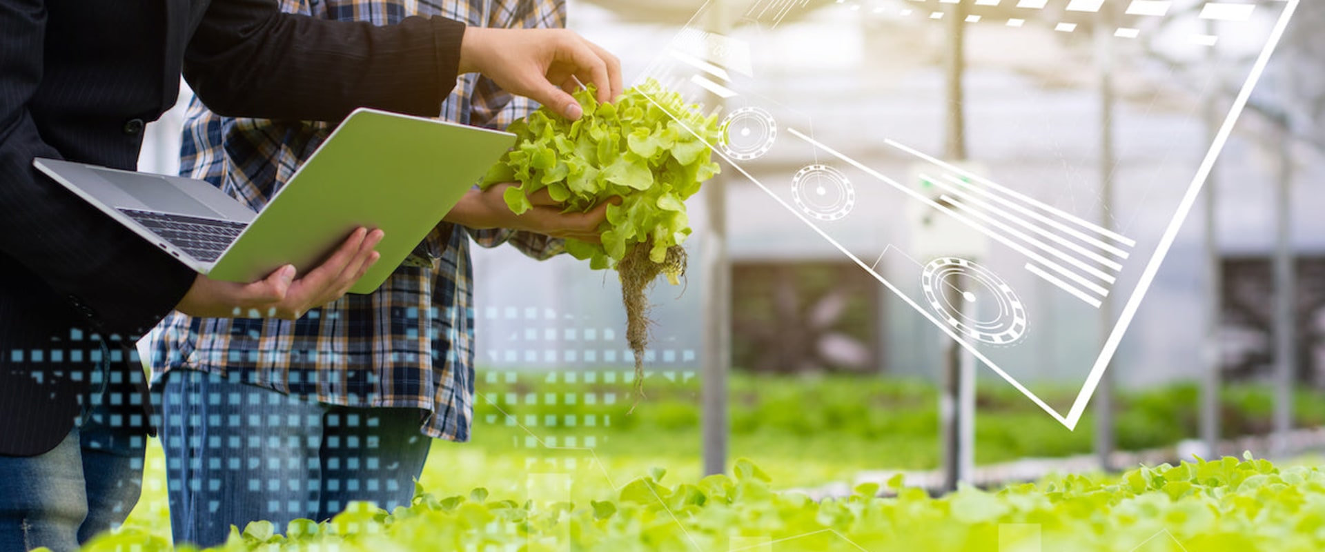 BESTPESTCONTROLSOFTWARE